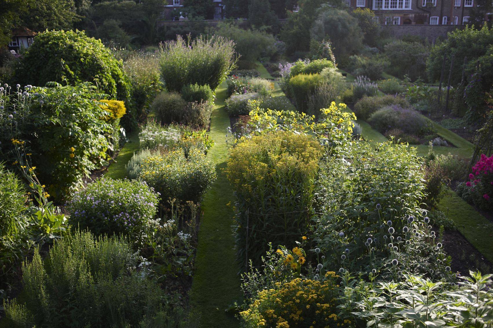 18 Physic Garden Ideas To Consider | SharonSable