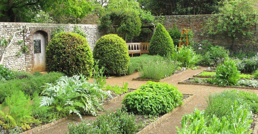 18 Physic Garden Ideas To Consider | SharonSable