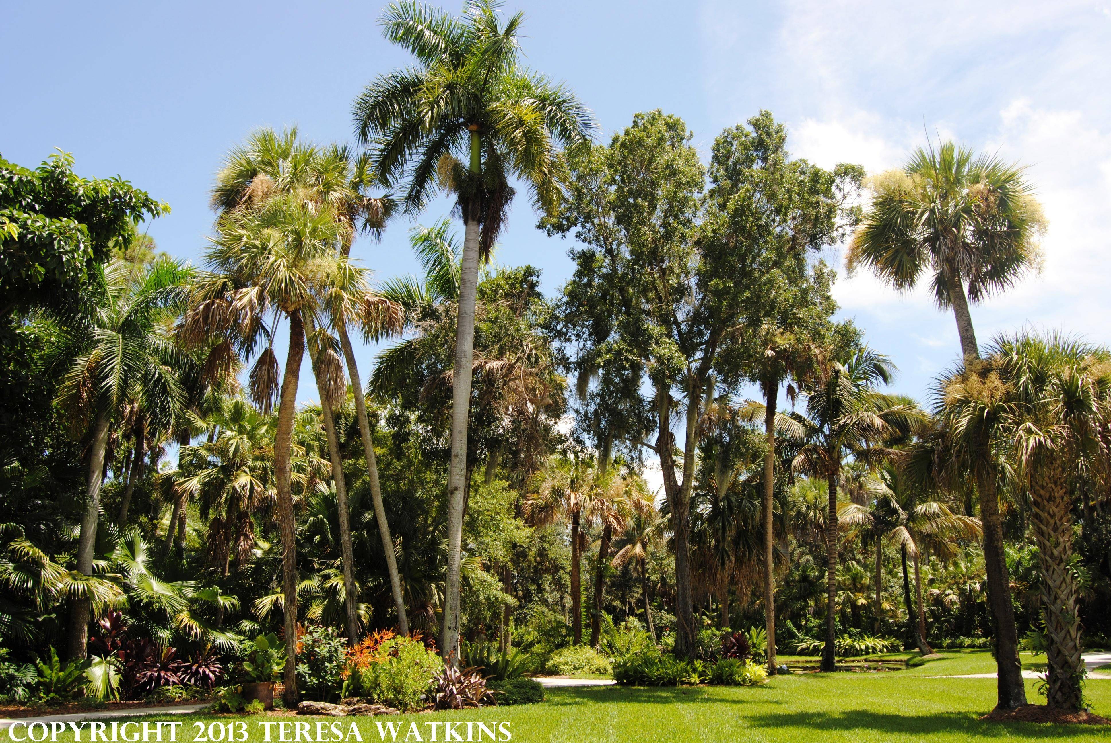 24 Florida Botanical Garden Ideas For This Year | SharonSable