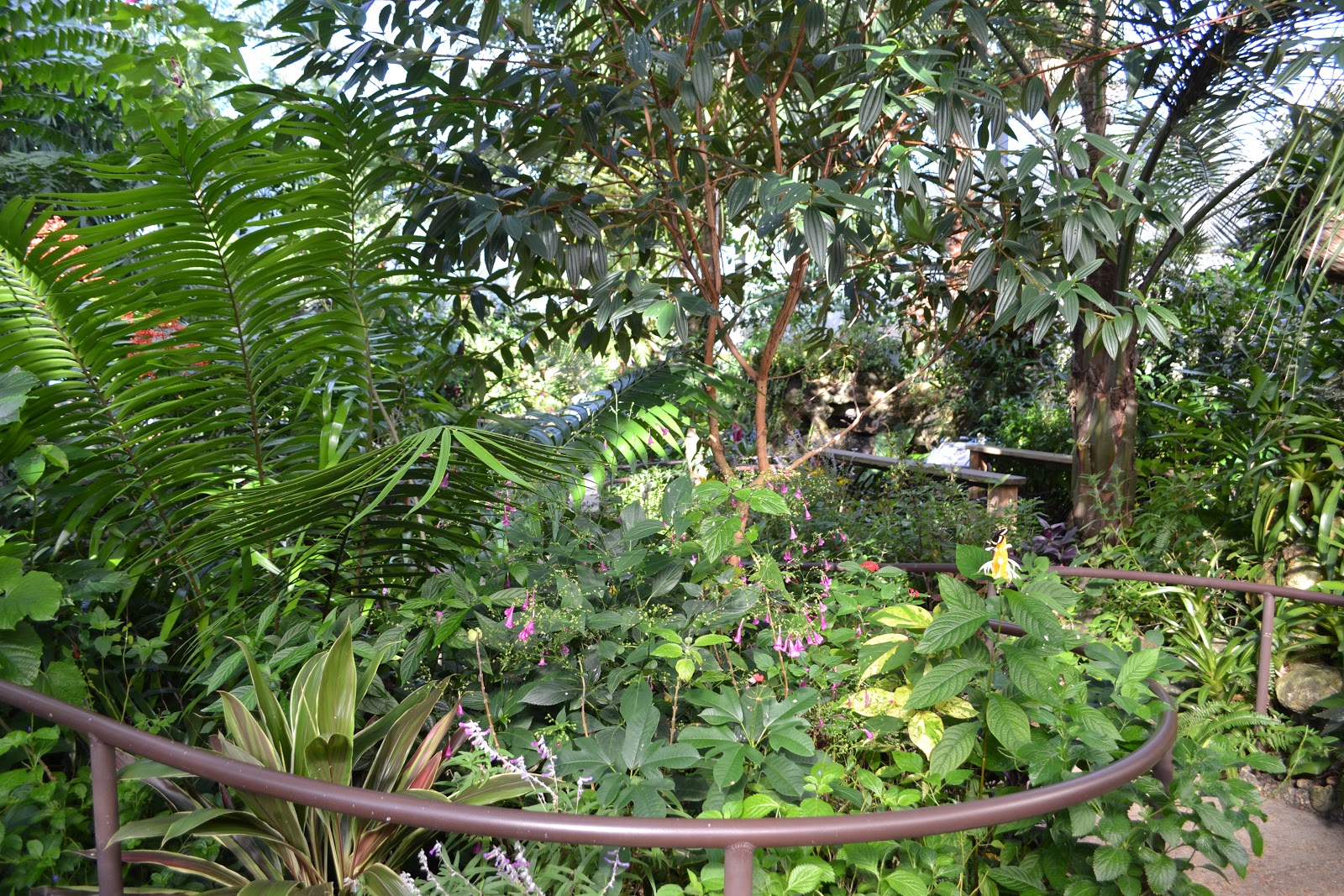 19 Butterfly Botanical Garden Florida Ideas To Try This Year | SharonSable