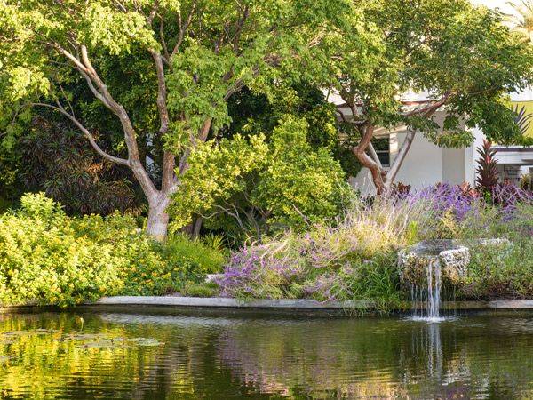 19 Miami Botanical Garden Ideas You Should Check | SharonSable