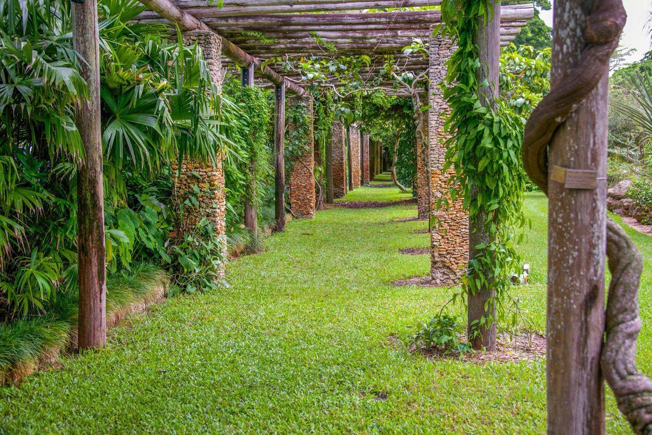22 Fairchild Botanical Garden Miami Ideas You Must Look | SharonSable