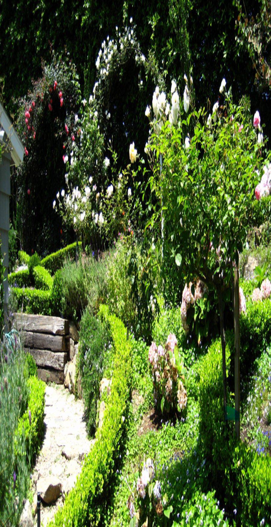 24 English Garden Plans and Layouts Ideas For This Year | SharonSable