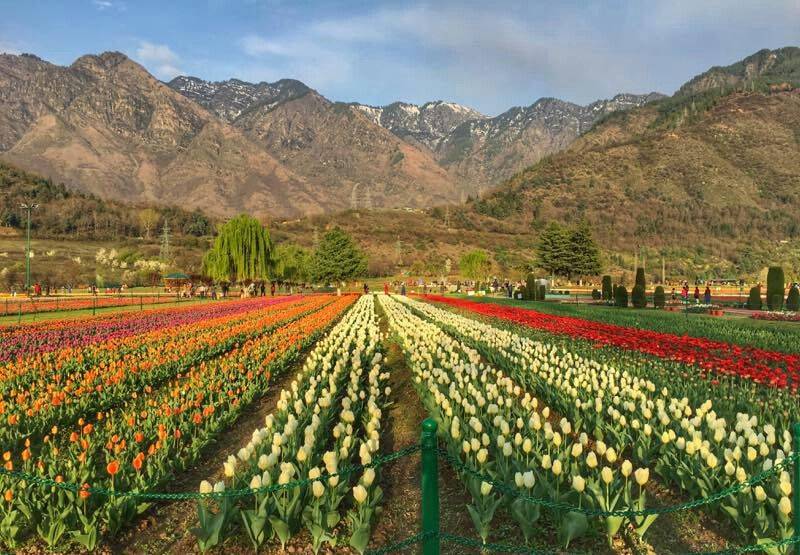 22 Kashmir Flower Garden Ideas Worth to Check | SharonSable