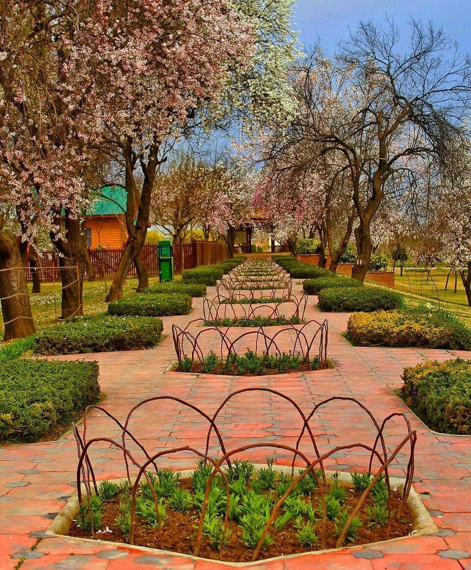 22 Kashmir Flower Garden Ideas Worth to Check | SharonSable