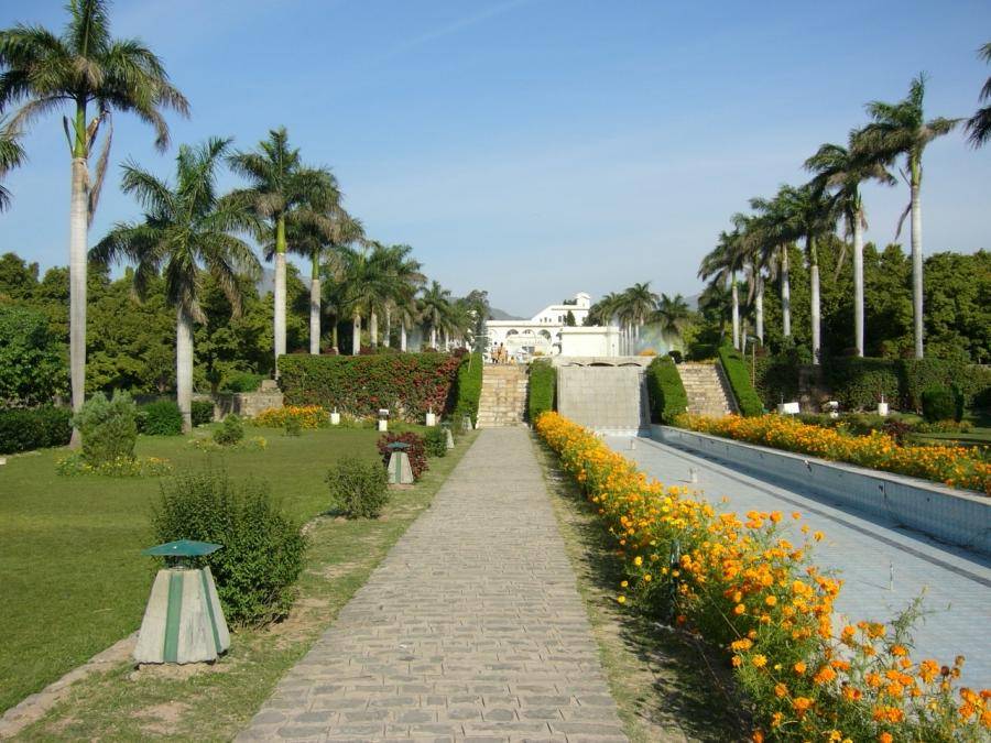 20 Pinjore Garden Ideas You Gonna Love | SharonSable