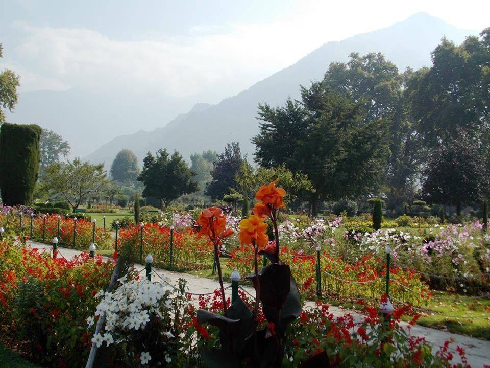 21 Mugal Garden in Kashmir Ideas You Cannot Miss | SharonSable