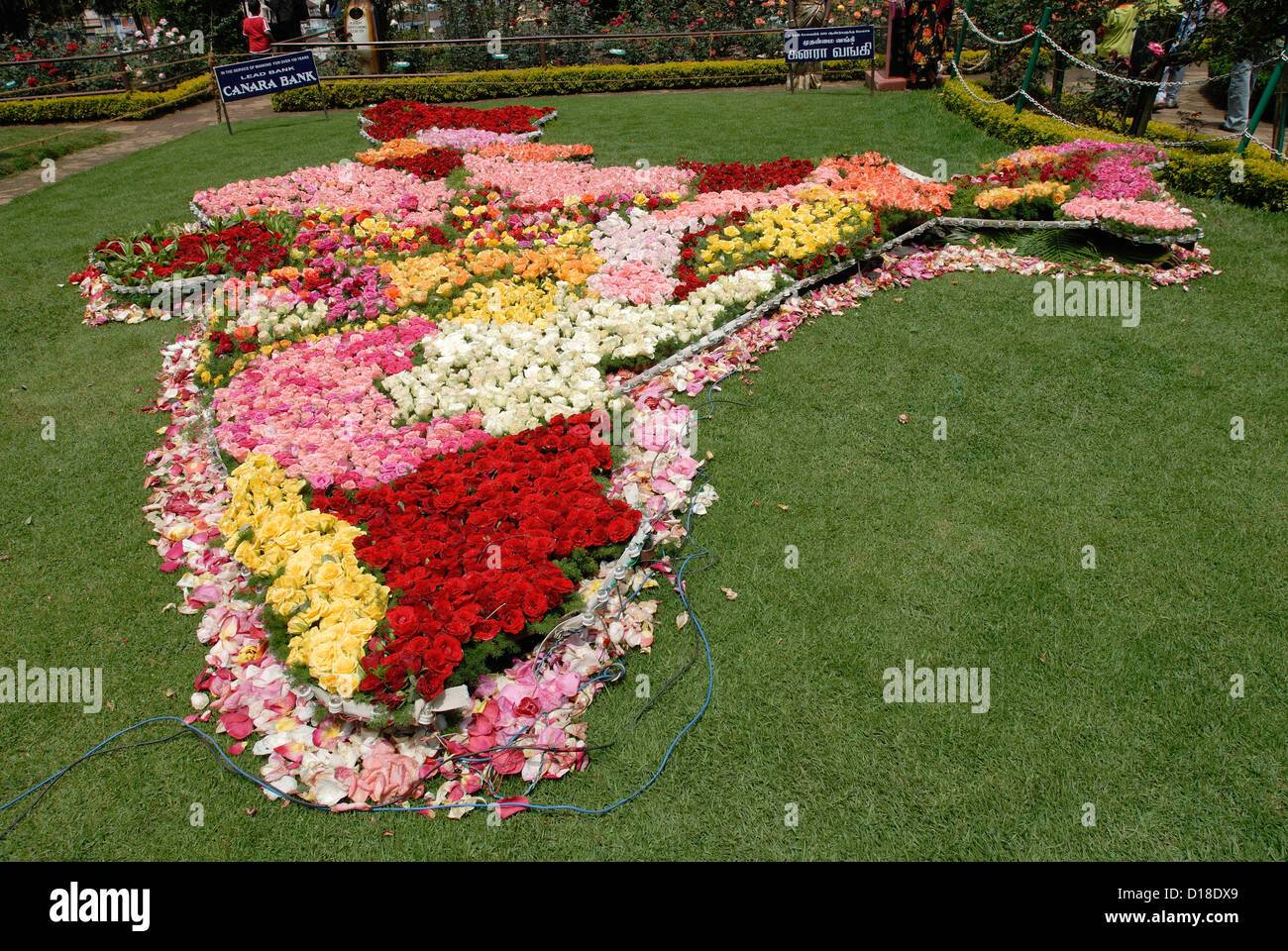 22 Ooty Rose Garden Ideas To Consider | SharonSable