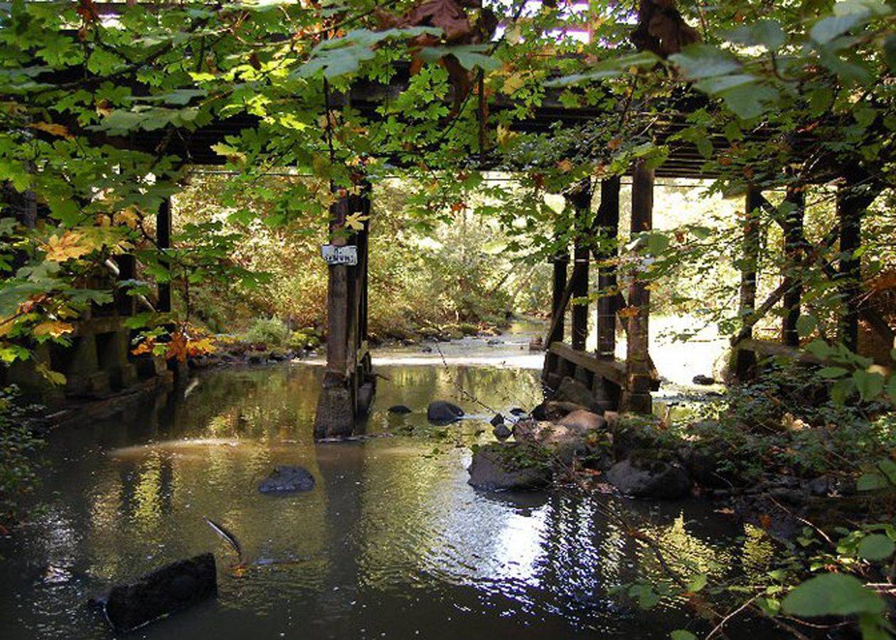 19 Botanical Garden House Ideas You Cannot Miss | SharonSable