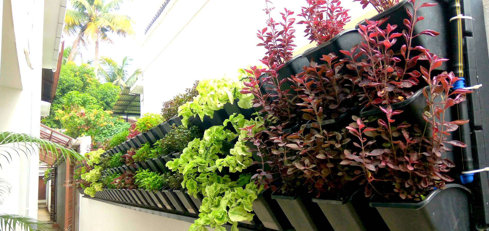 17 Flower Garden Kerala Ideas You Should Look | SharonSable