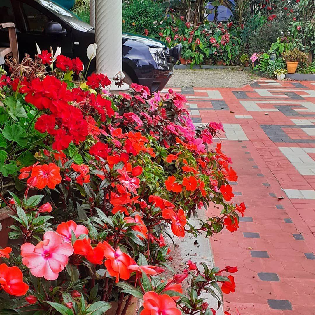 17 Flower Garden Kerala Ideas You Should Look | SharonSable