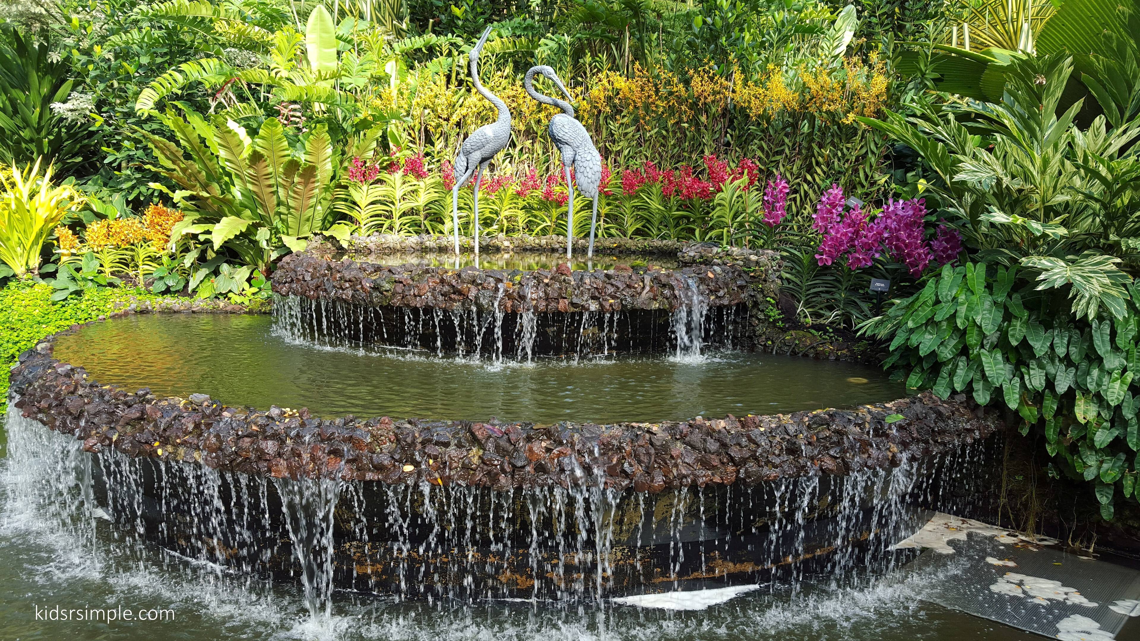 22 Singapore Botanic Garden Ideas You Cannot Miss | SharonSable