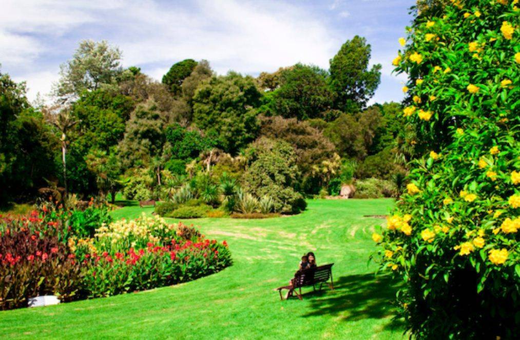 22 City Botanic Garden Ideas You Should Check | SharonSable