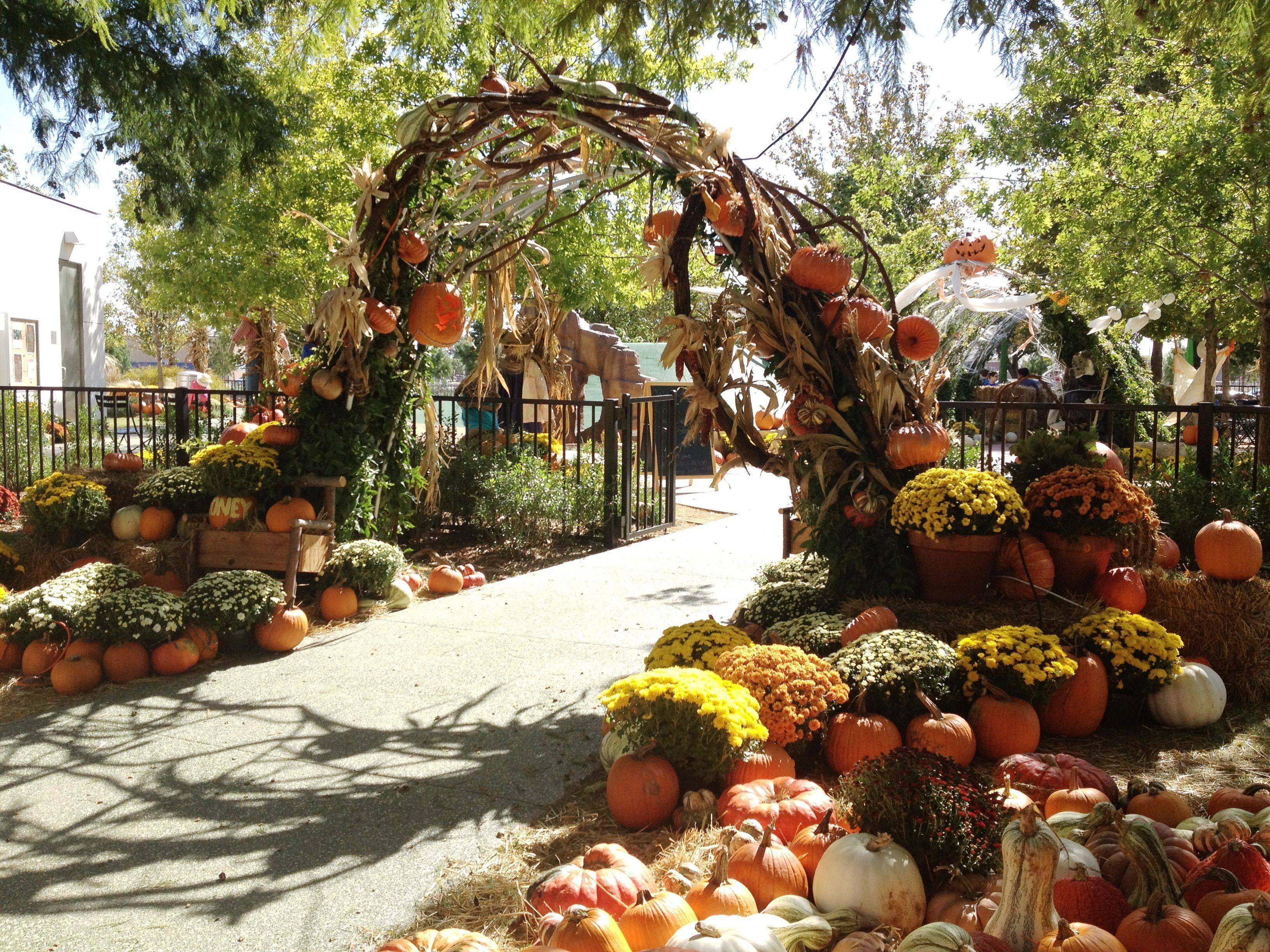 22 City Botanic Garden Ideas You Should Check | SharonSable