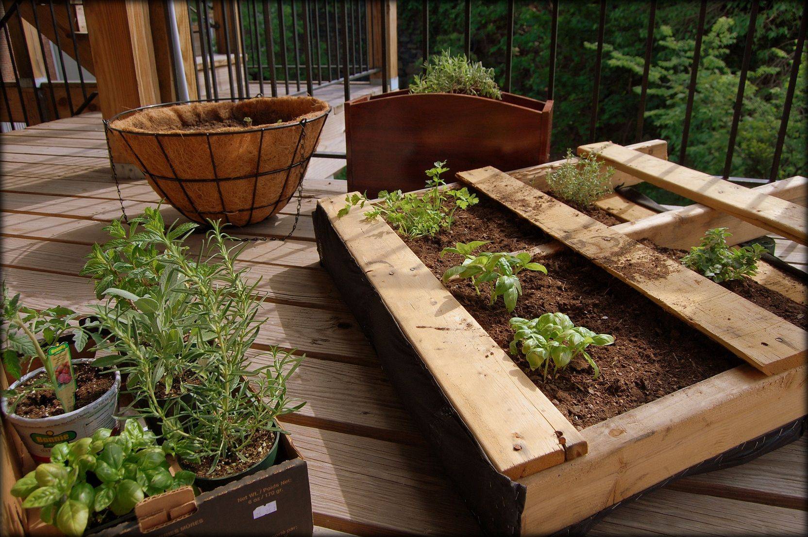 23 Horizontal Gardening Ideas For This Year | SharonSable
