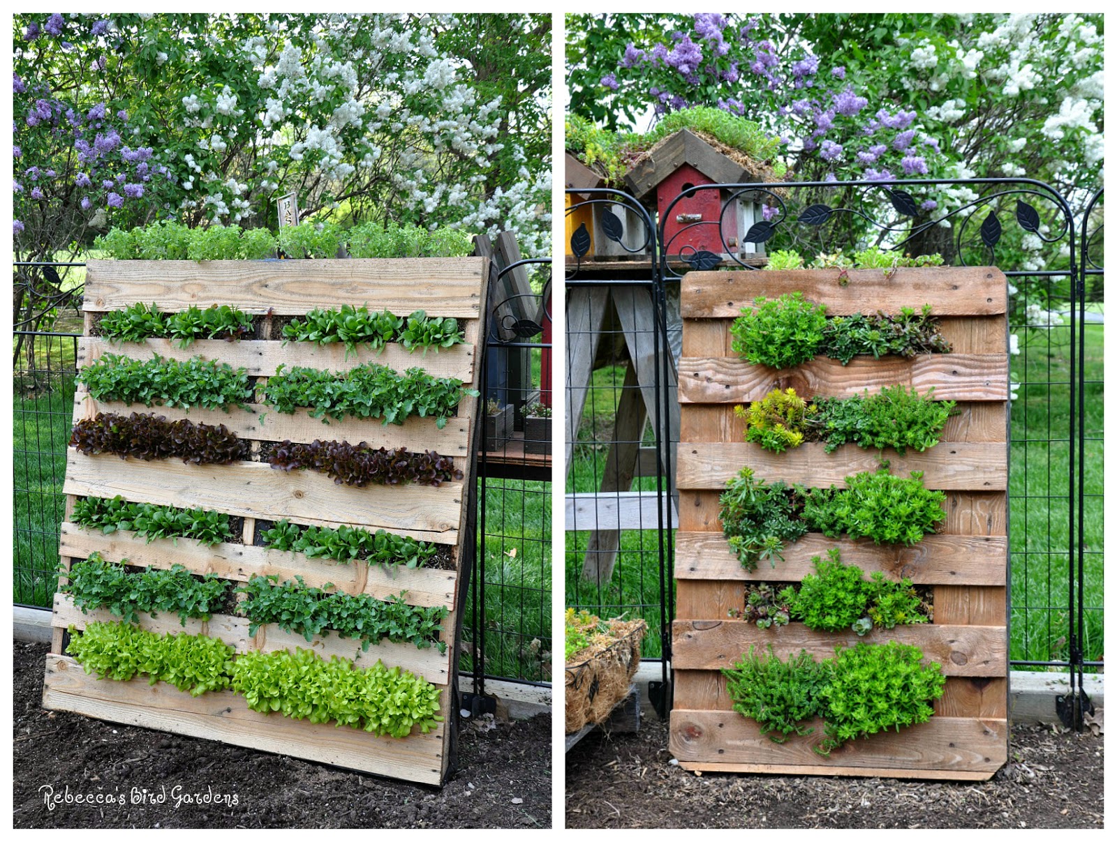 23 Horizontal Gardening Ideas For This Year | SharonSable