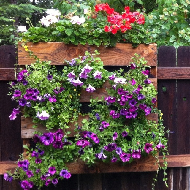 23 Horizontal Gardening Ideas For This Year | SharonSable