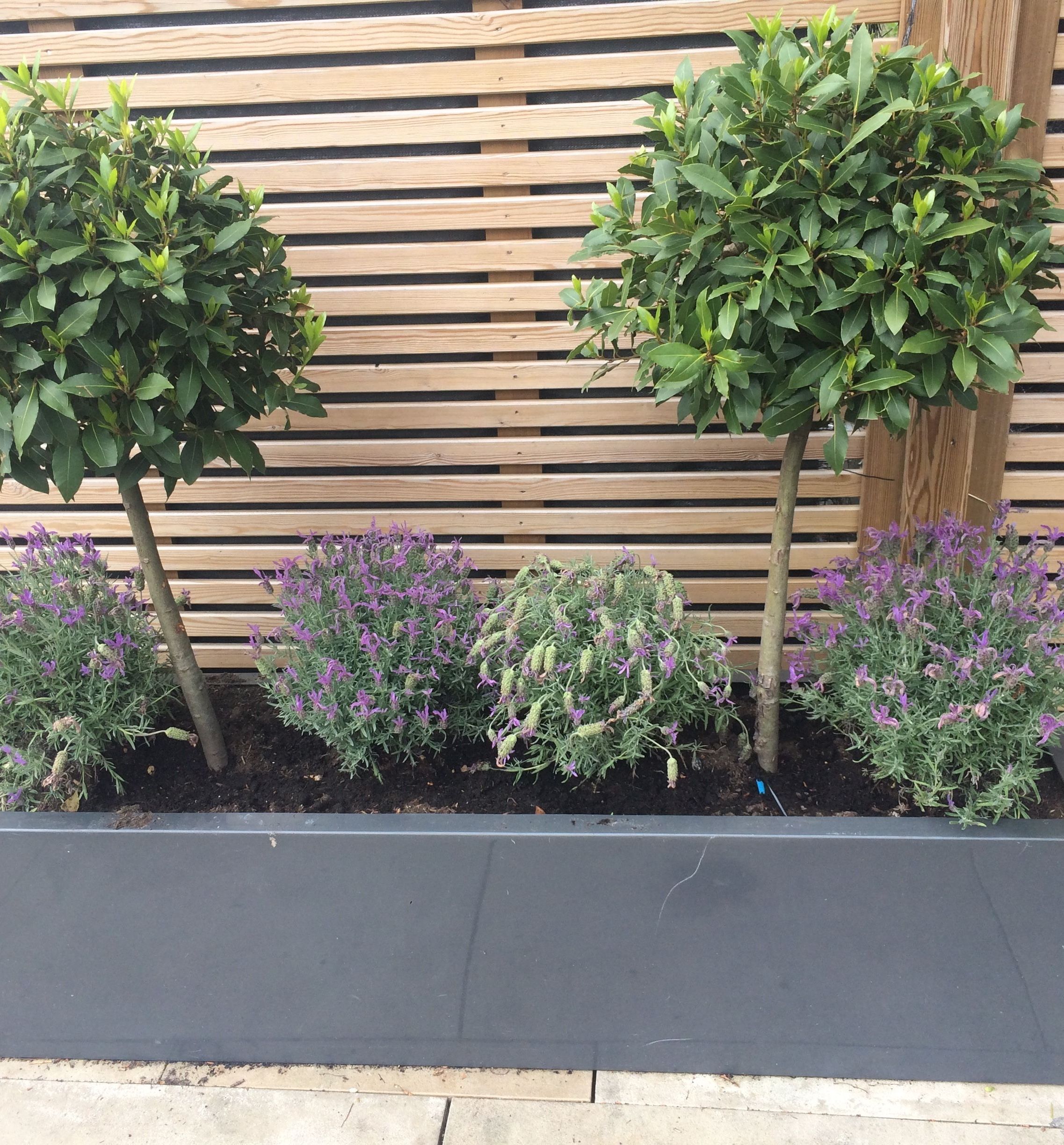 23 Horizontal Gardening Ideas For This Year | SharonSable