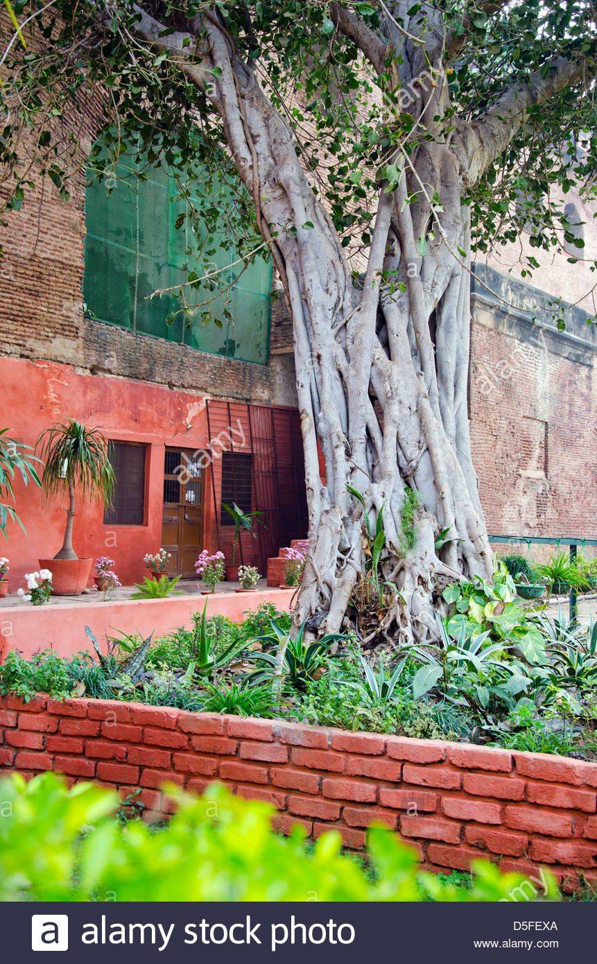 22 Indian House Garden Ideas Worth to Check | SharonSable