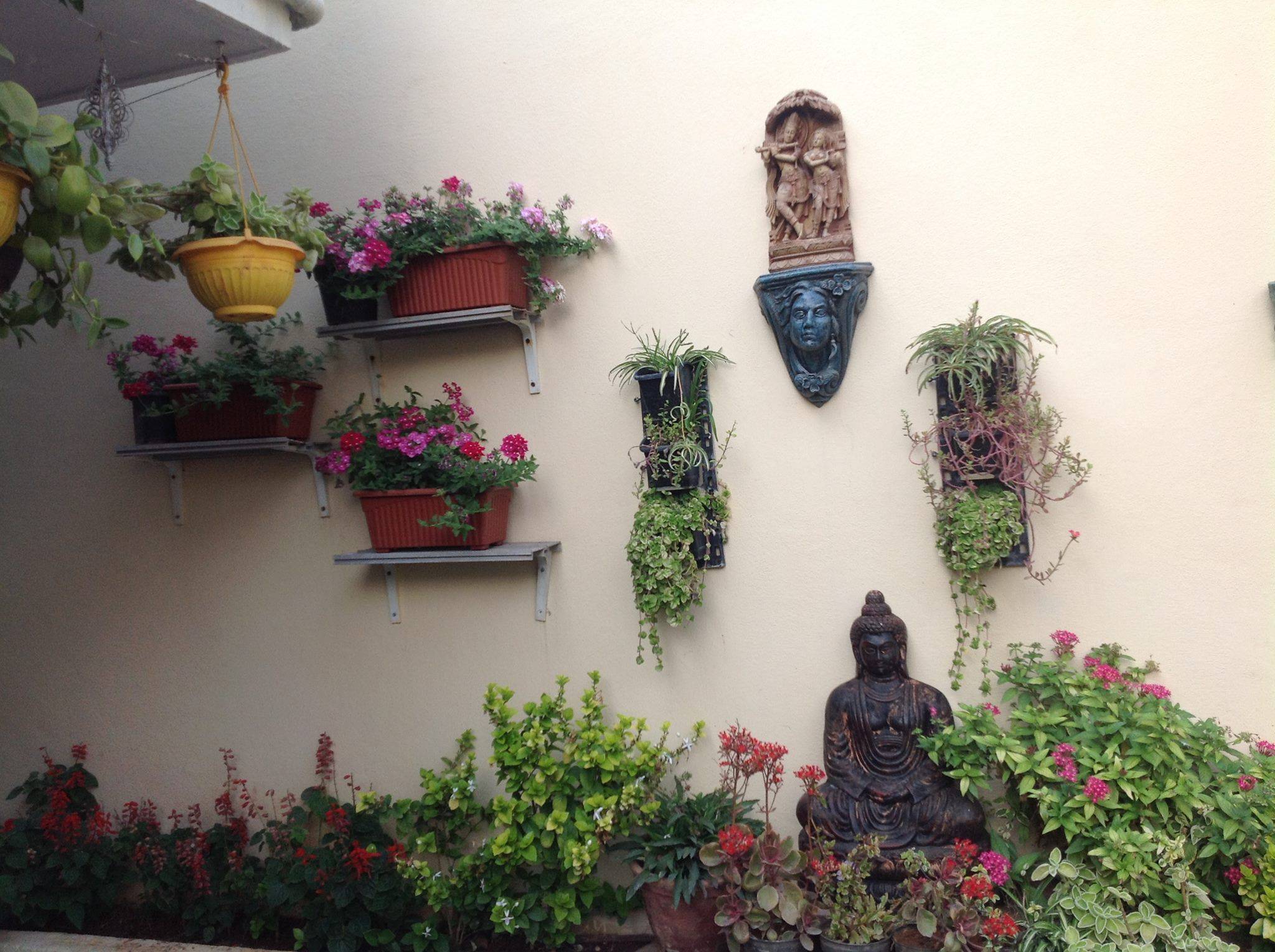 22 Indian House Garden Ideas Worth to Check | SharonSable