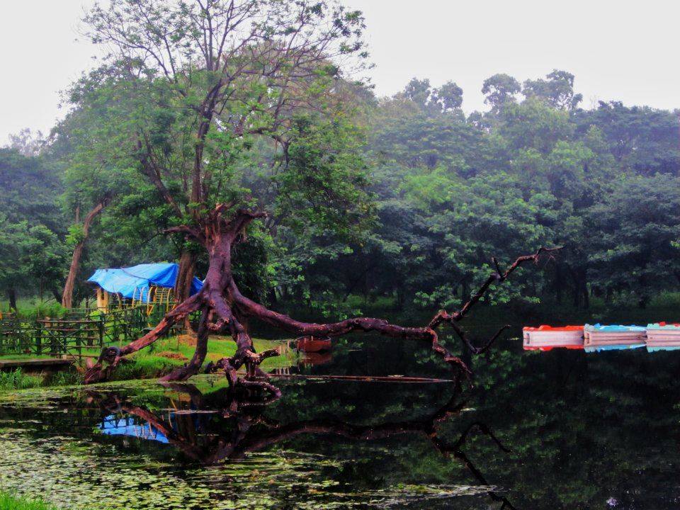 17 Botanical Garden Kolkata Is for Couples Ideas Worth to Check ...