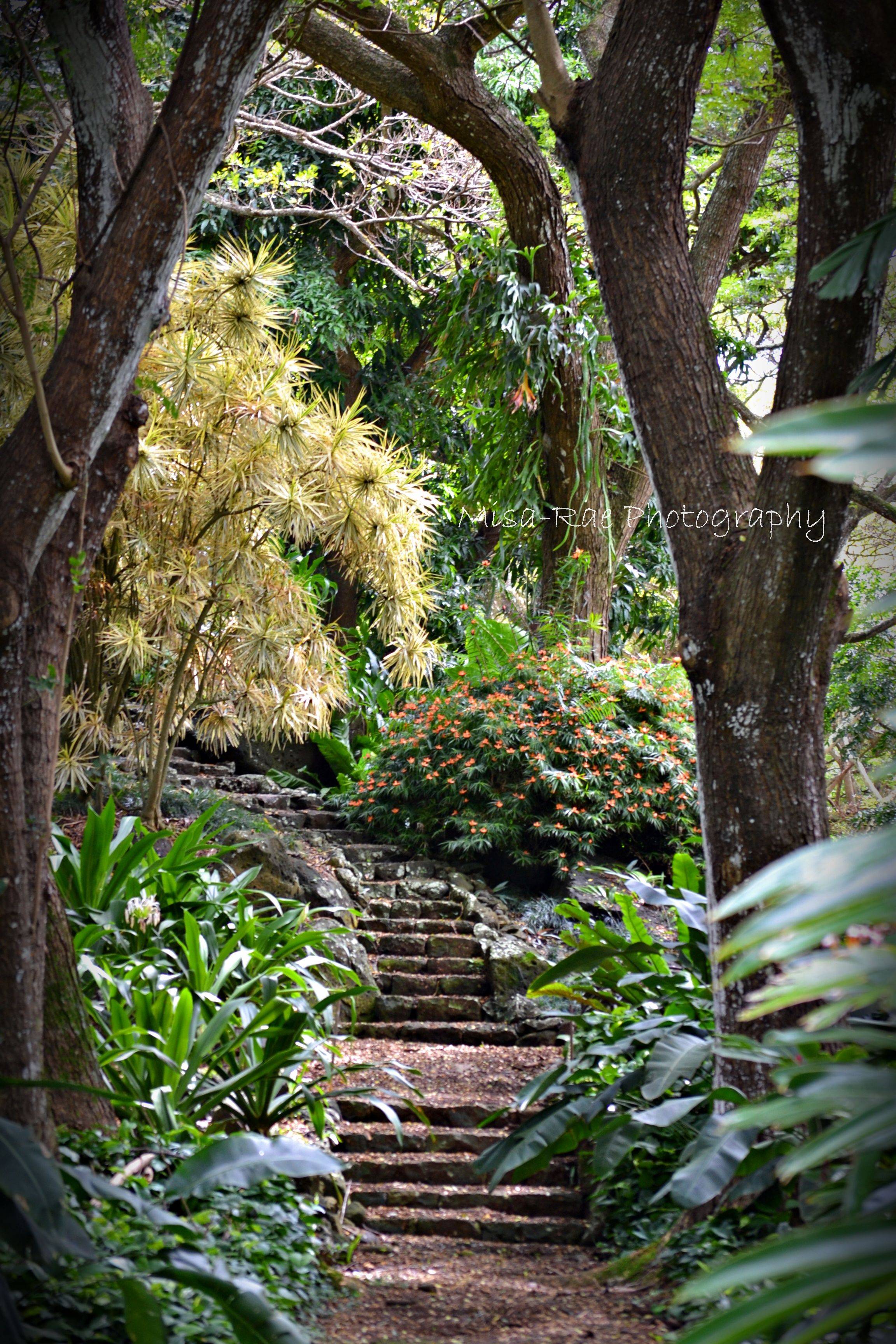 24 Botanical Garden in Hawaii Ideas You Must Look | SharonSable