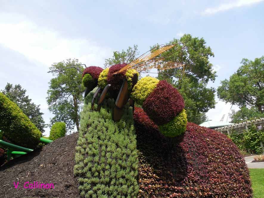 23 Montreal Botanical Garden Ideas You Cannot Miss | SharonSable