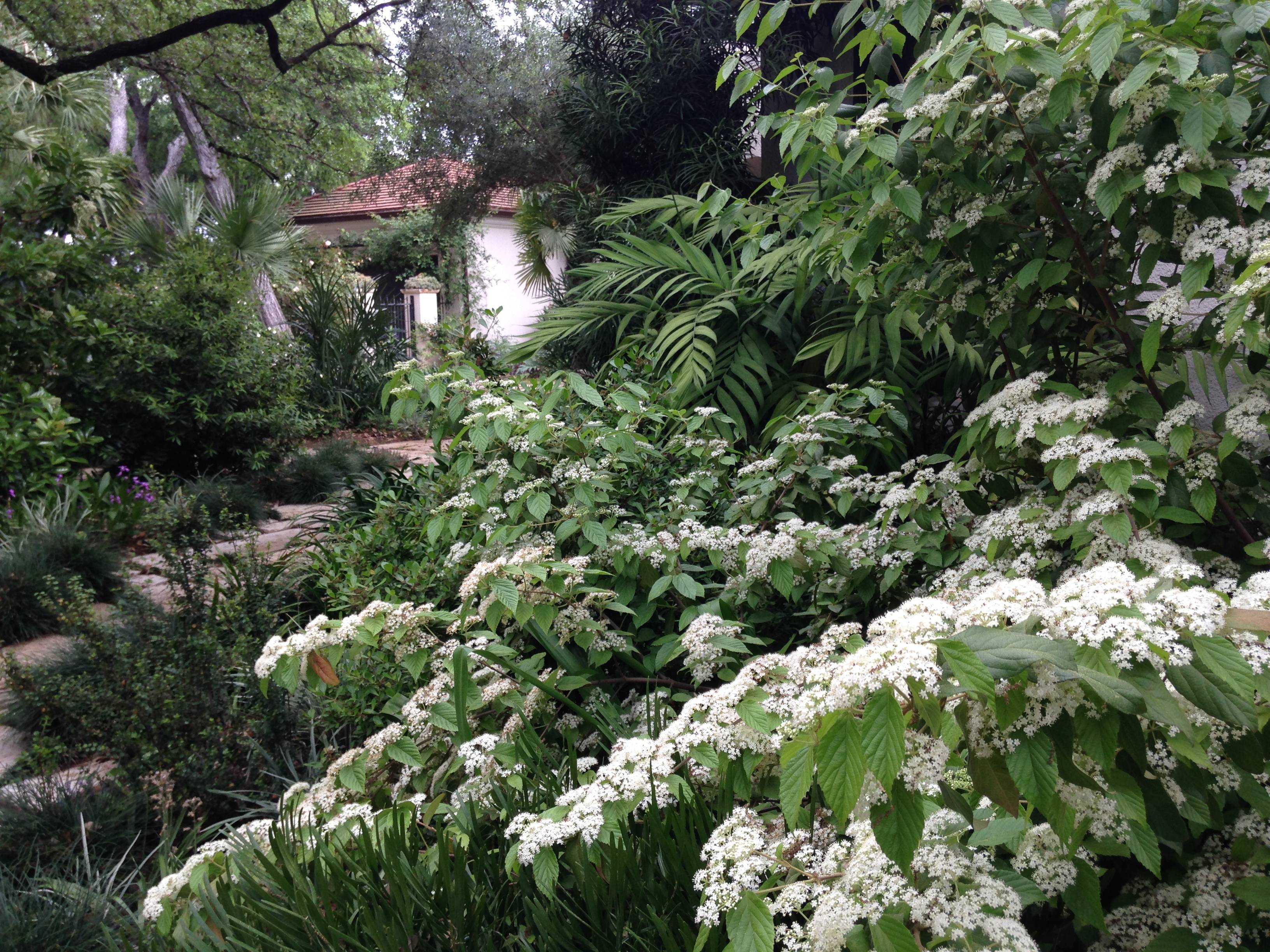 23 Moonlit Garden Ideas You Cannot Miss | SharonSable