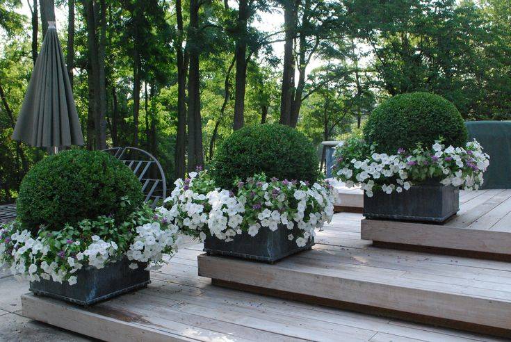 23 All White Flower Garden Ideas You Should Check | SharonSable