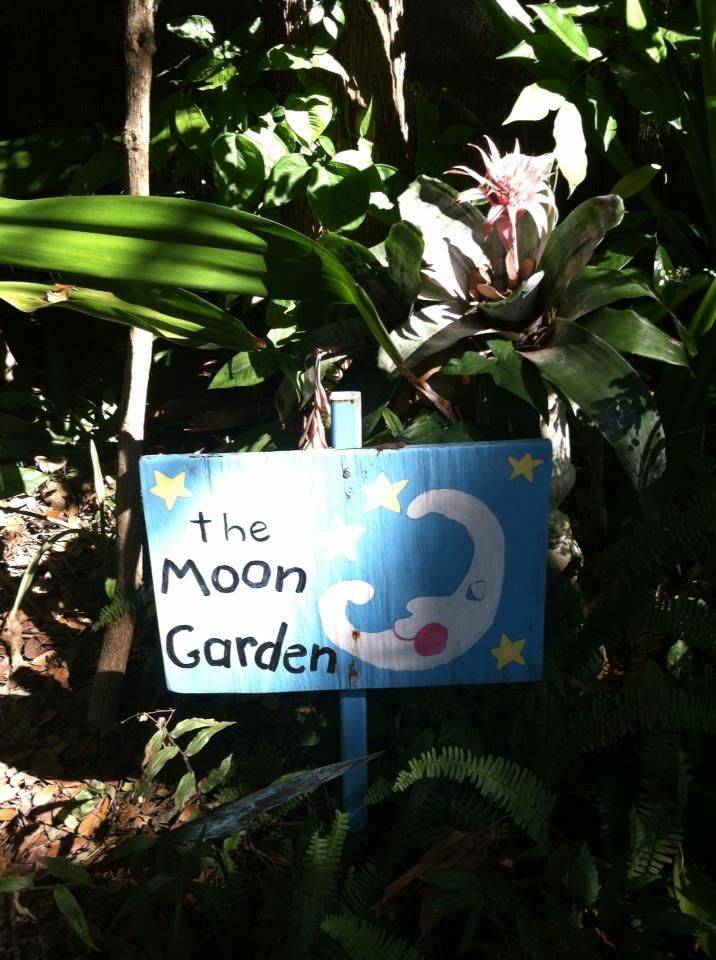20 Full Moon Garden Ideas You Gonna Love | SharonSable