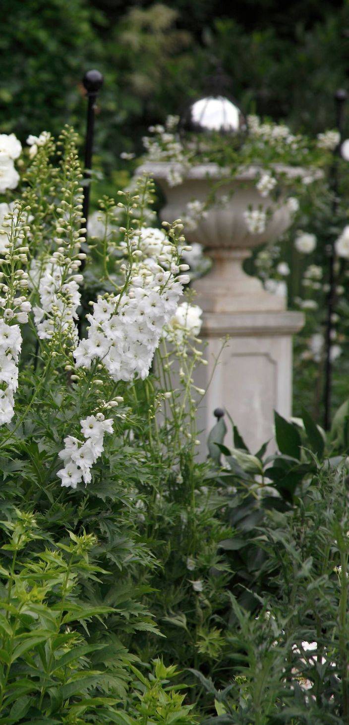 21 All White Moon Garden Ideas To Consider | SharonSable