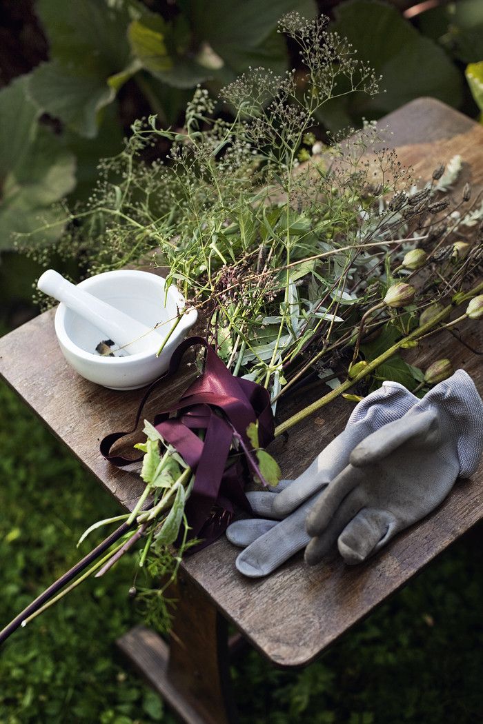 14 Witches Garden Ideas You Should Look | SharonSable