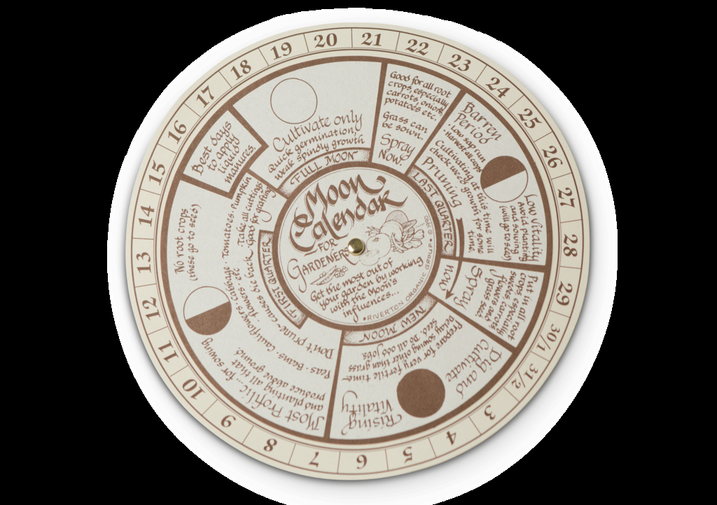 20 Moon Gardening Calendar Ideas To Try This Year | SharonSable