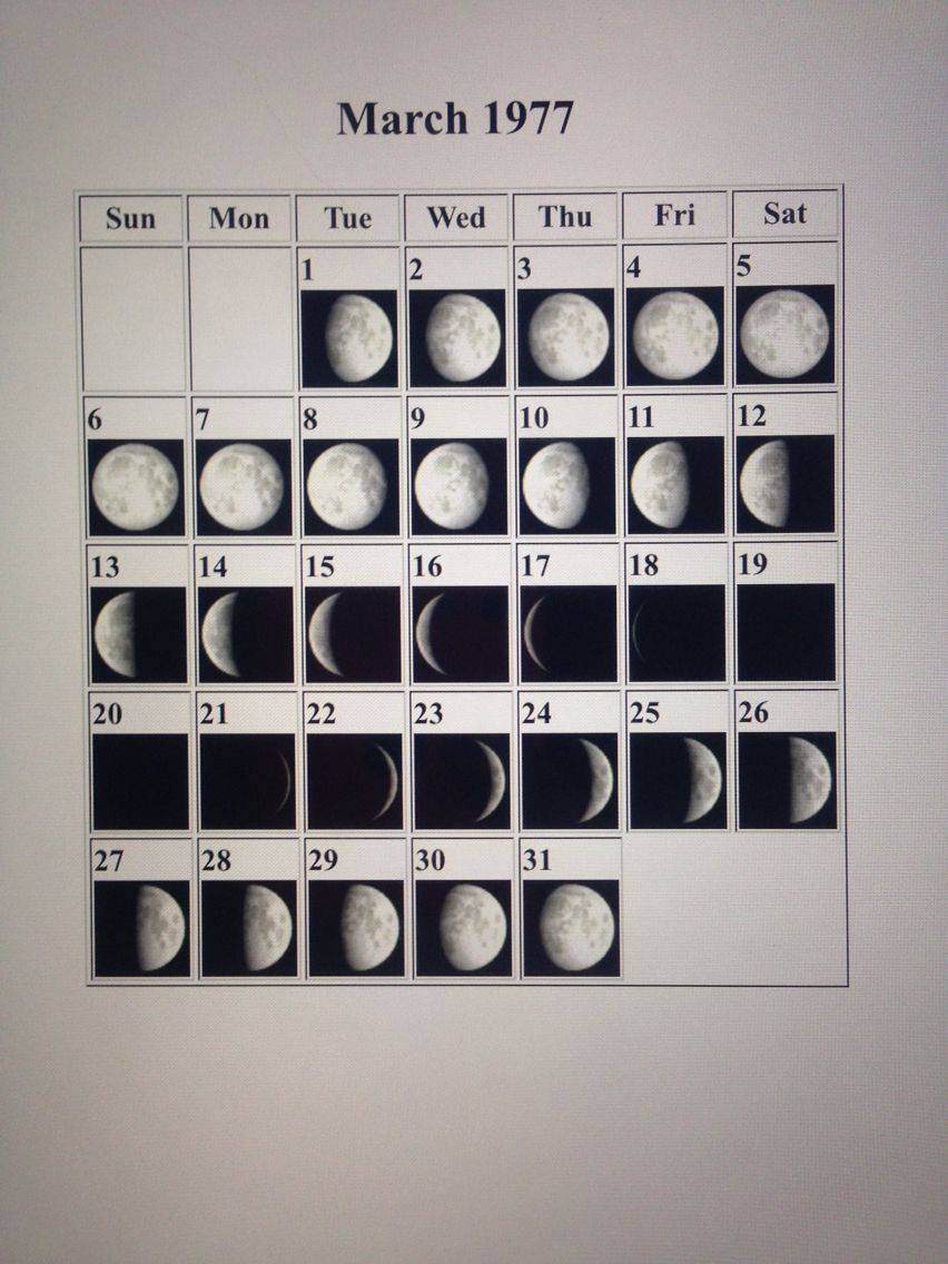 20 Moon Gardening Calendar Ideas To Try This Year | SharonSable