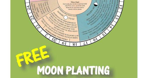 20 Moon Gardening Calendar Ideas To Try This Year | SharonSable