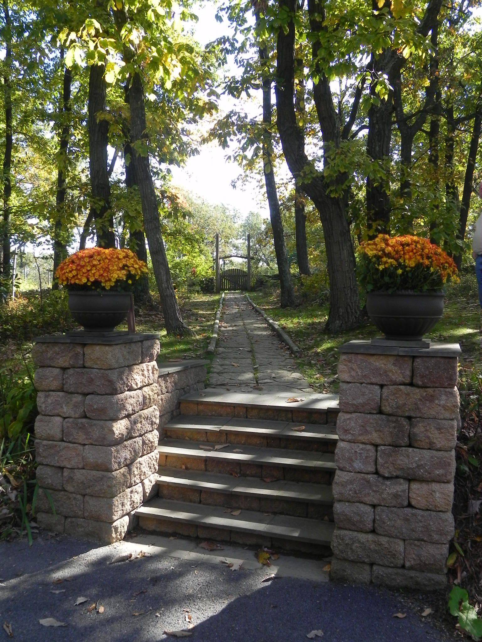 19 Garden Paths with Steps Ideas For This Year | SharonSable