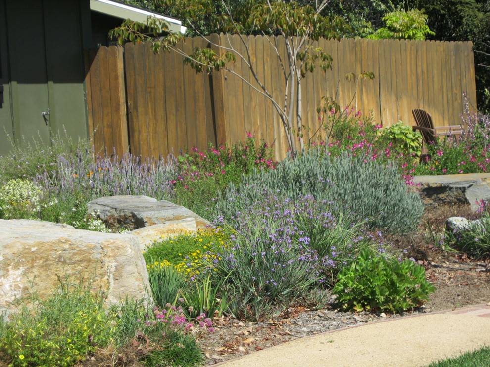 24 Native Garden Front Yard Ideas You Should Check | SharonSable