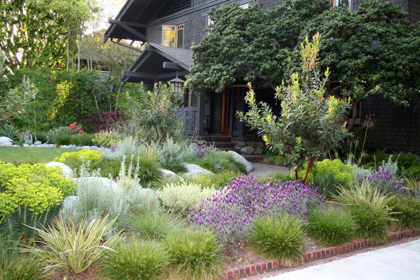 24 Native Garden Front Yard Ideas You Should Check | SharonSable