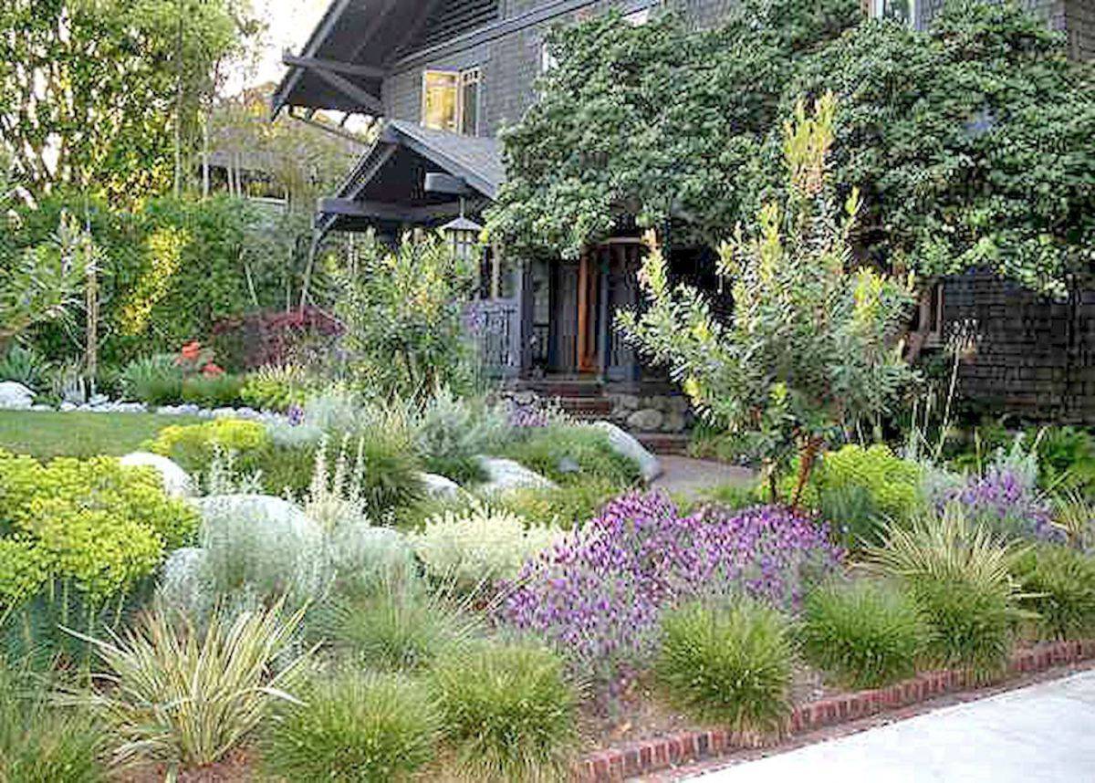 24 Native Garden Front Yard Ideas You Should Check | SharonSable