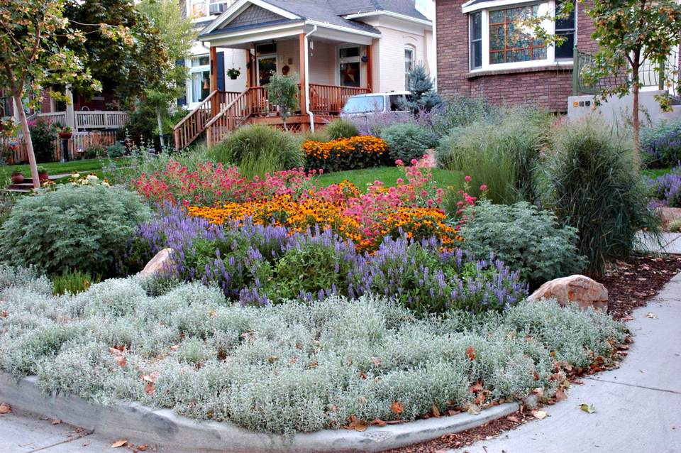 24 Native Garden Front Yard Ideas You Should Check | SharonSable