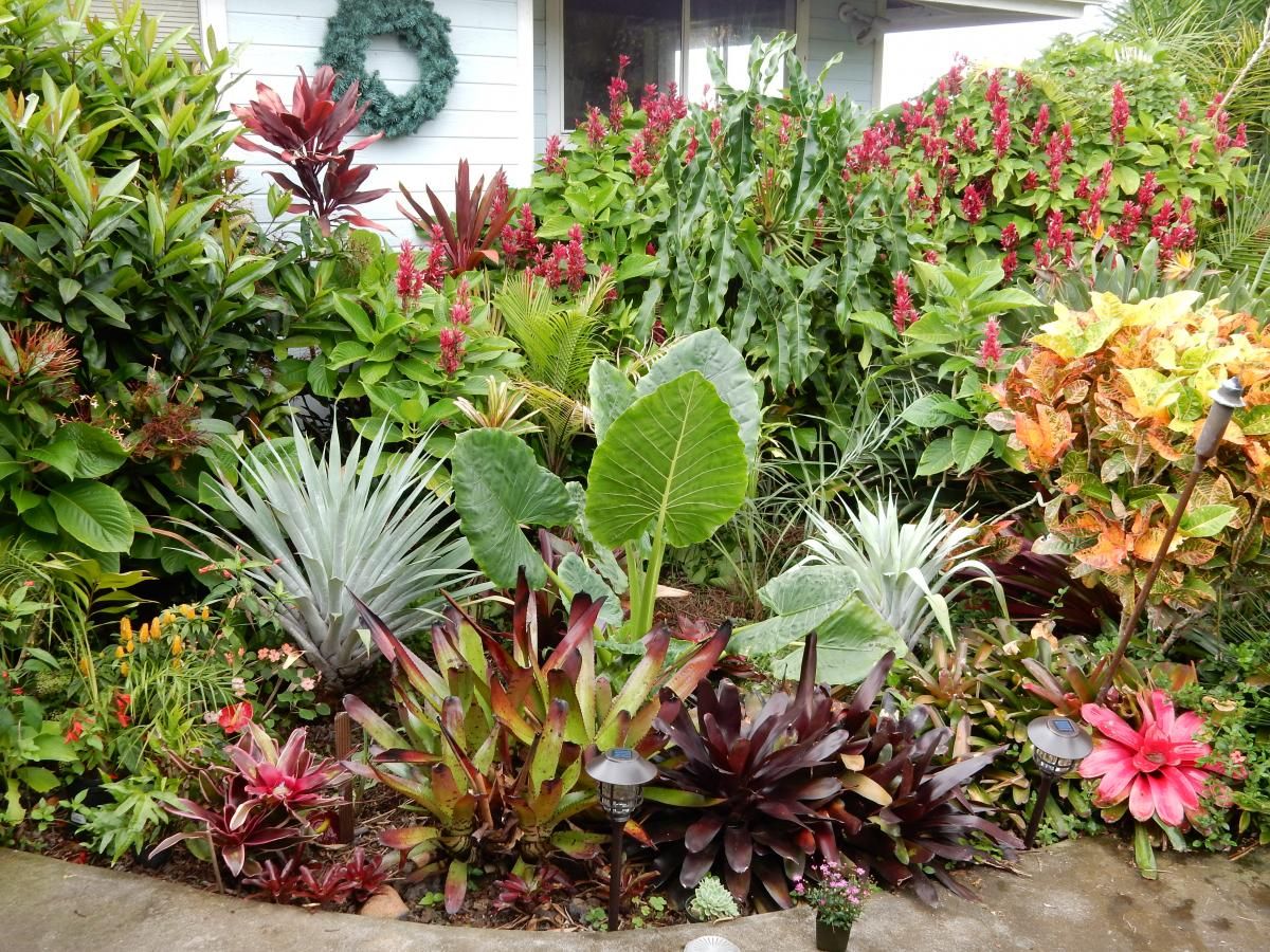 21 Hawaiian Tropical Garden Ideas To Try This Year | SharonSable
