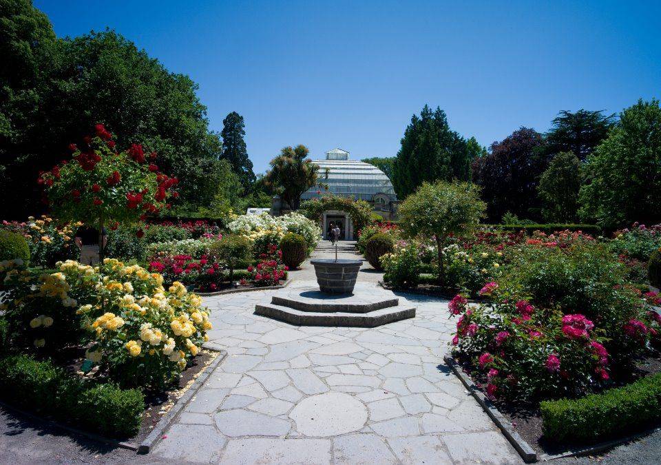 23 Christchurch Botanic Garden Ideas You Should Look | SharonSable