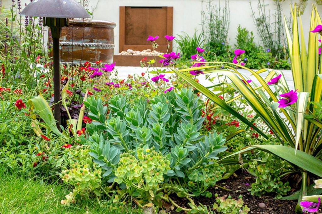 20 Botanical Garden Edgbaston Ideas Worth a Look | SharonSable