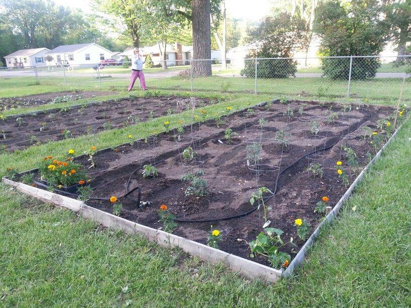24 Community Garden Plot Ideas To Consider | SharonSable