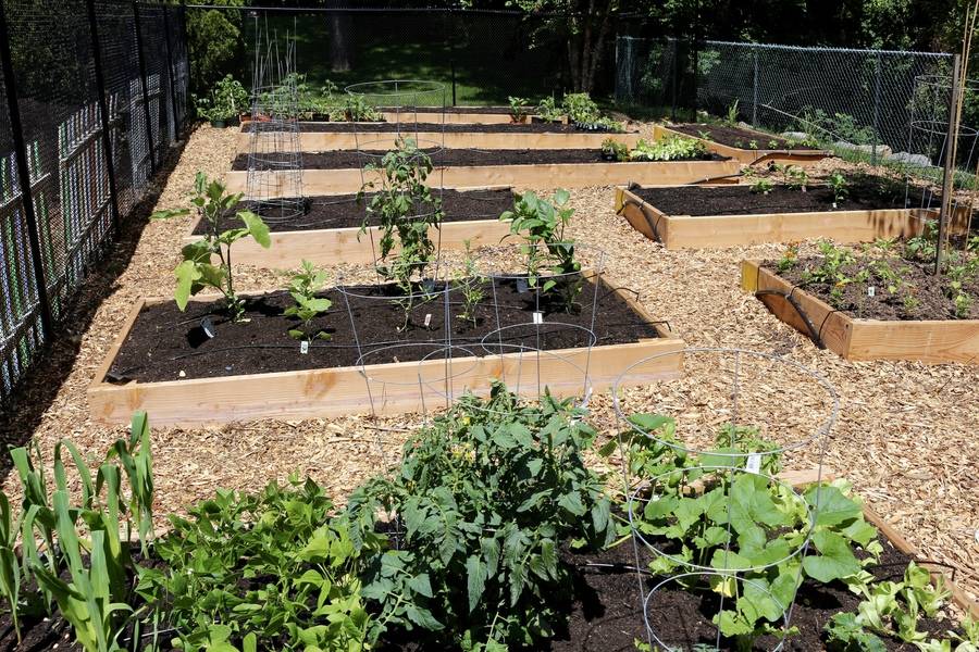18 Church Community Garden Ideas Worth to Check | SharonSable