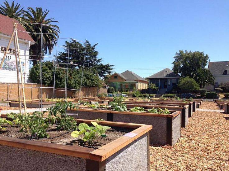 18 Church Community Garden Ideas Worth to Check | SharonSable
