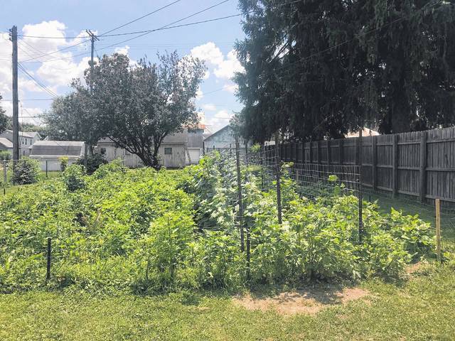 18 Church Community Garden Ideas Worth to Check | SharonSable