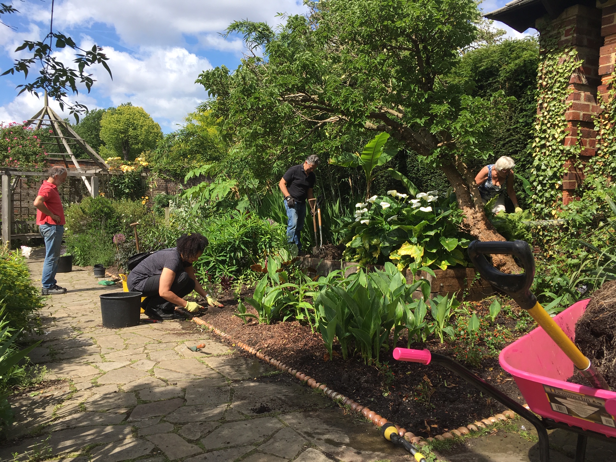24 Community Garden Photography Ideas For This Year | SharonSable