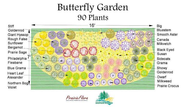 17 Butterfly Garden Plans Zone 6 Ideas You Should Look | SharonSable