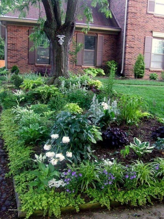 19 Planning a Shade Garden Ideas To Try This Year | SharonSable